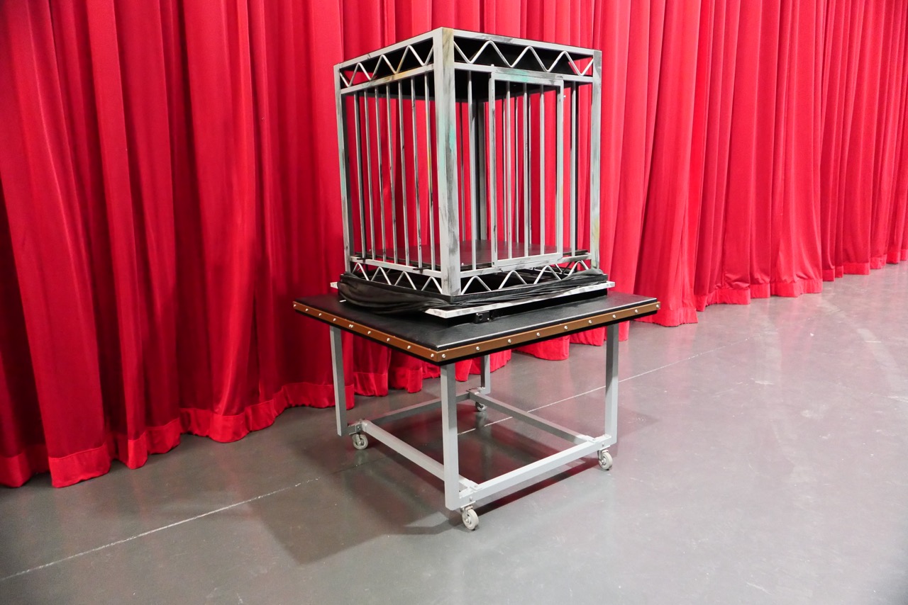 Appearance Cage – Magic Auction
